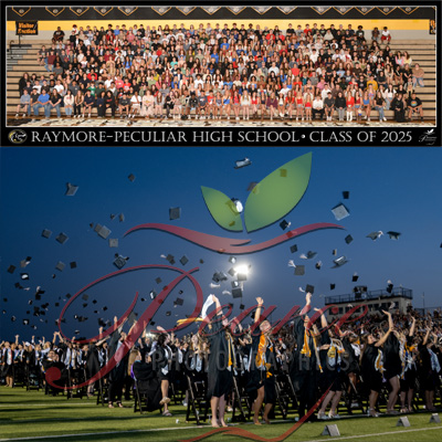Organization - Pro Photography Online Sales